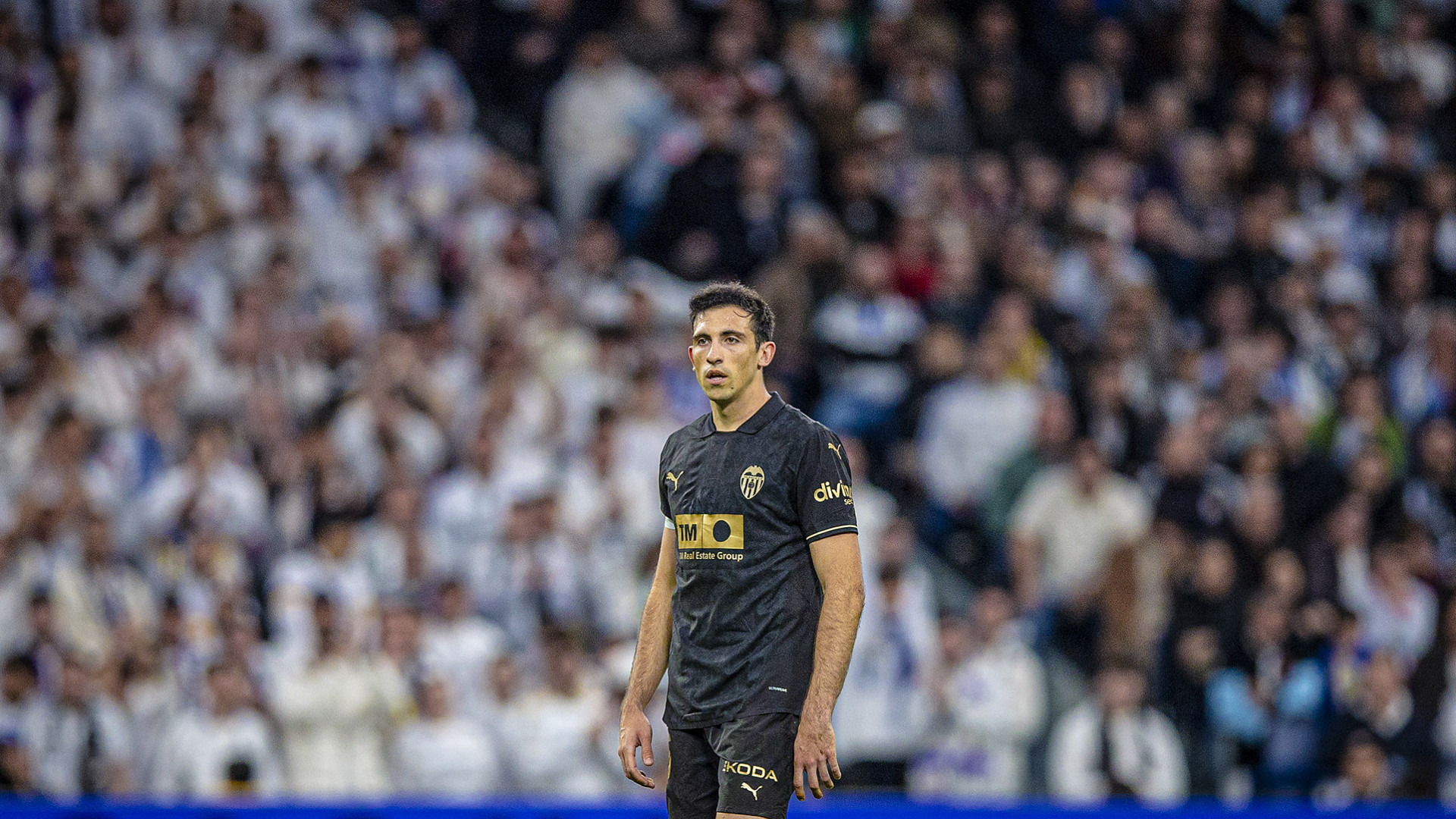 César Tárrega crece con Carlos Corberán - Tribuna Deportiva